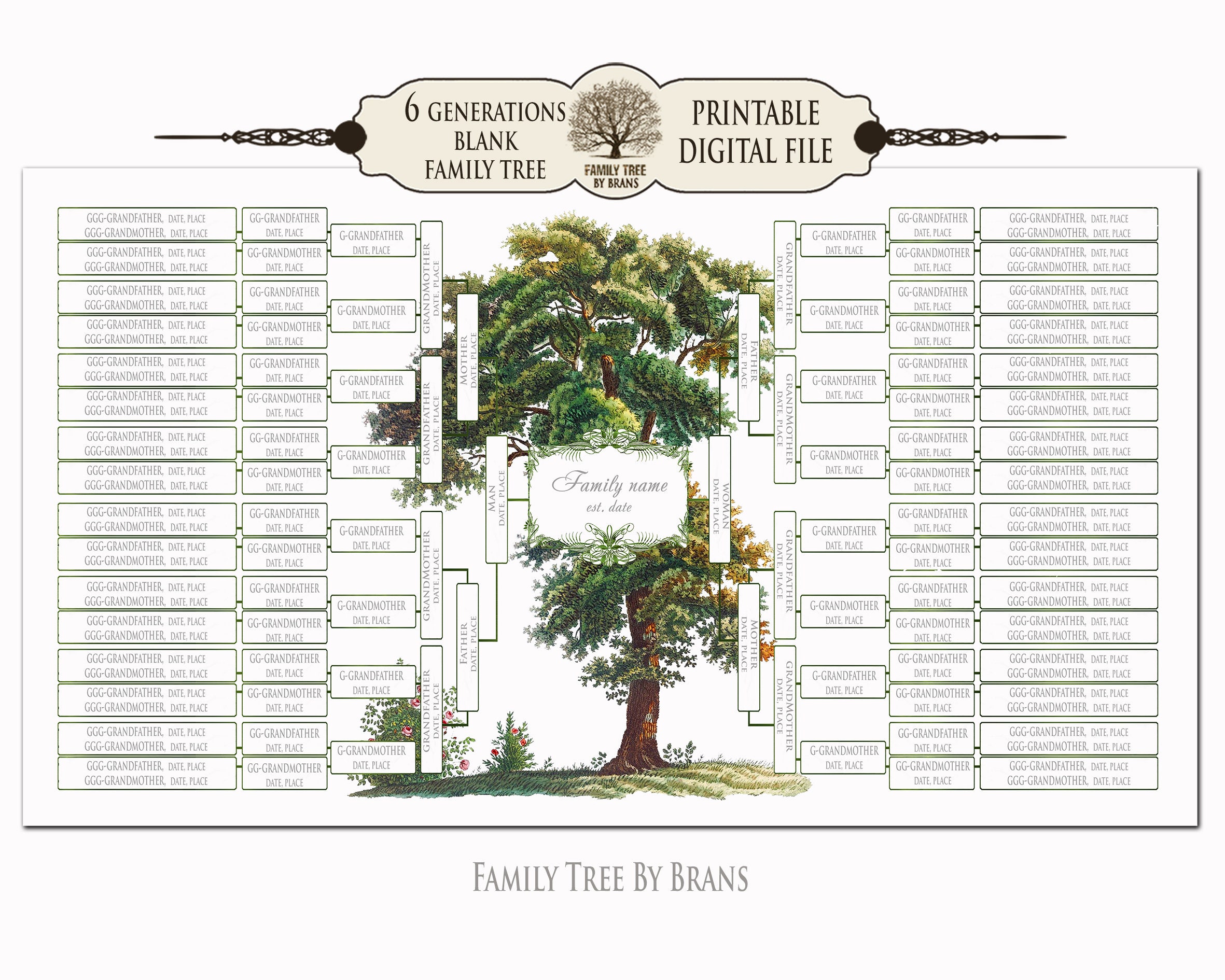 6 Generation BLANK FAMILY TREE Green Family Tree Wall Art - Etsy