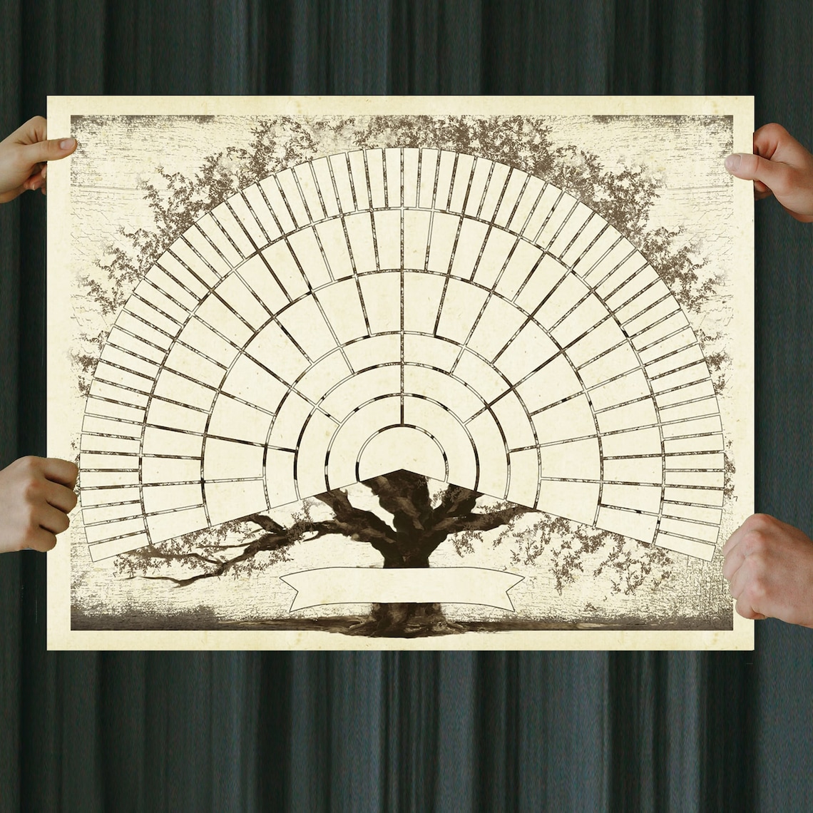 Family Tree Fan Chart 7 Generation Blank PDF Family Tree | Etsy