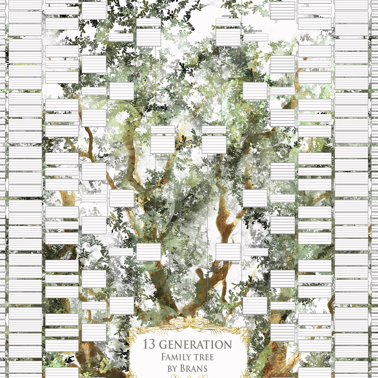 50x54 Large 13 Generations Family Tree Printable Digital - Etsy Canada