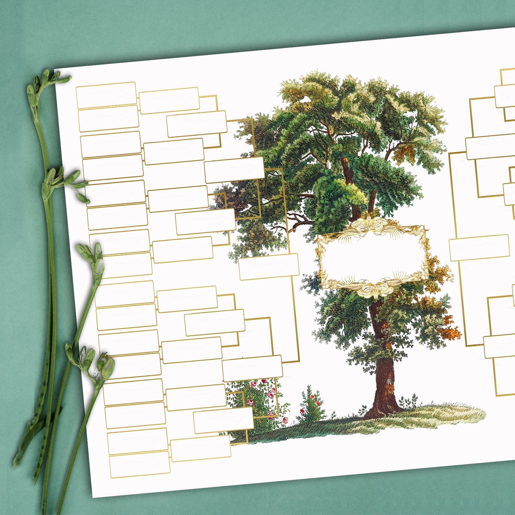 Family Tree 5 Generation. Family Tree Fillable Template. - Etsy Canada