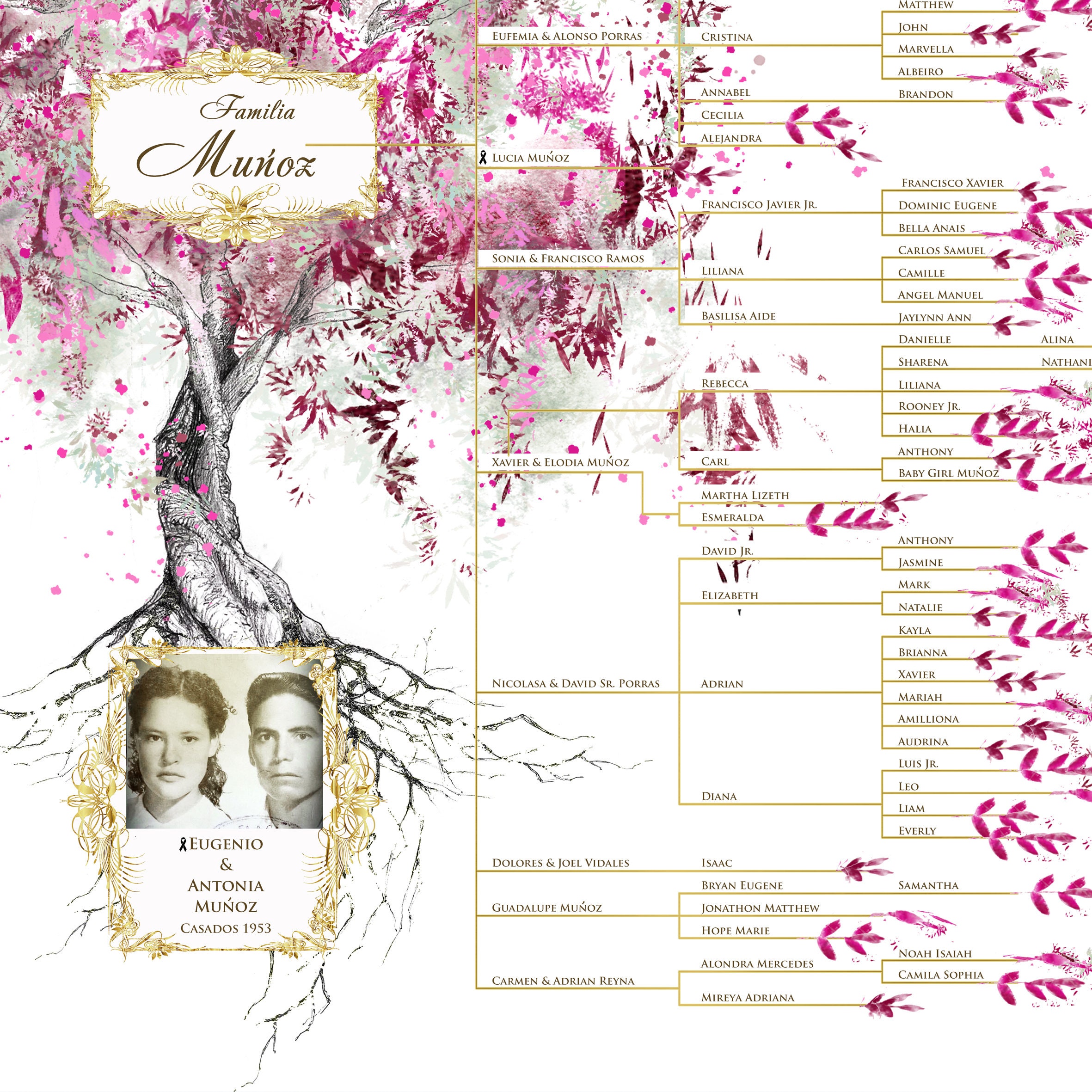 Top Quality Family Tree. A Professional Family Tree That Will - Etsy