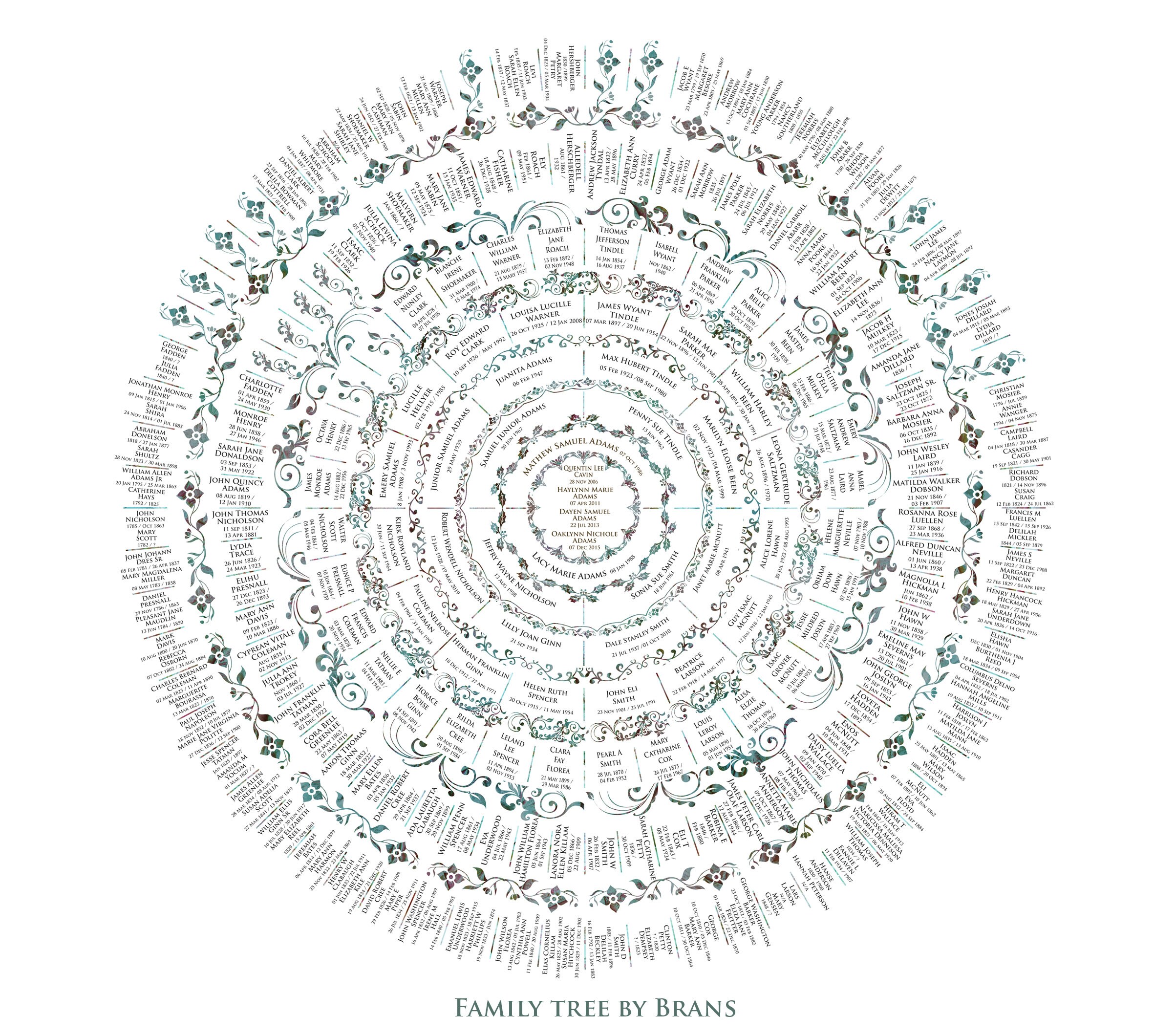 Large Blue Brown Family Tree With Ornament Rings. Personalized - Etsy