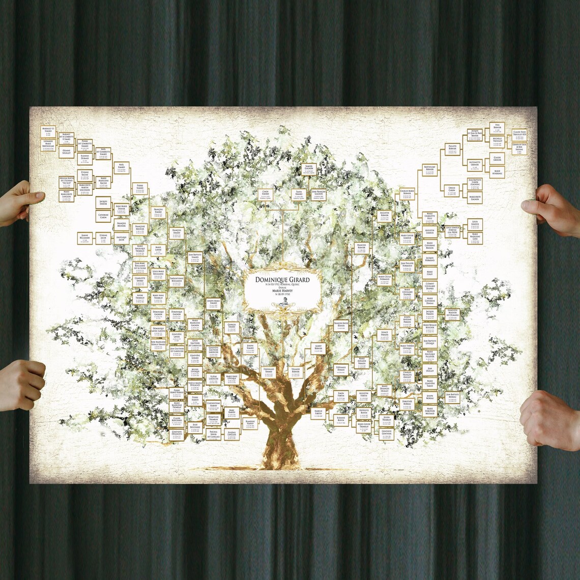Ancestry Family Tree With Incomplete Information. Custom | Etsy