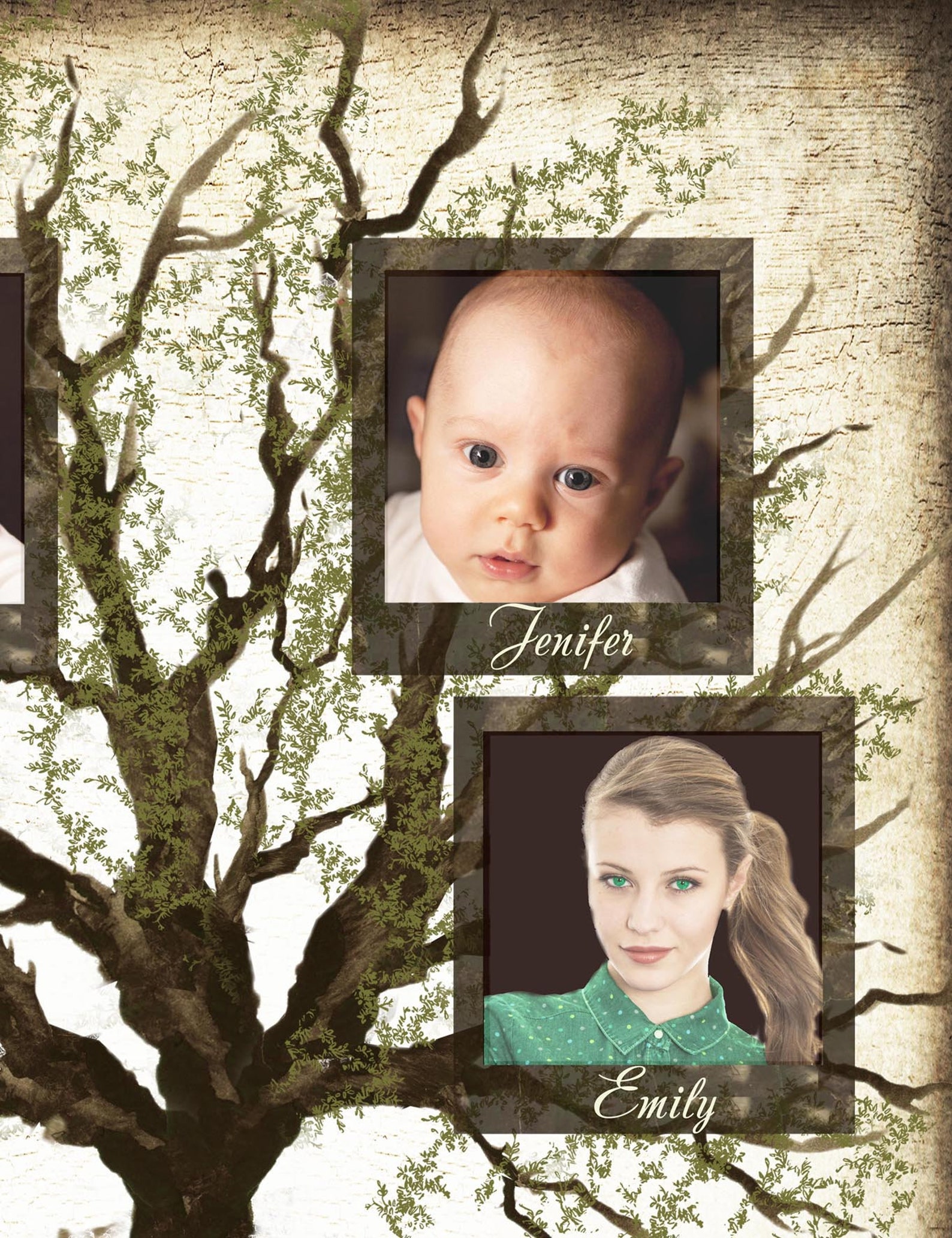 Editable PSD Family Tree Template With Photos Family Tree - Etsy