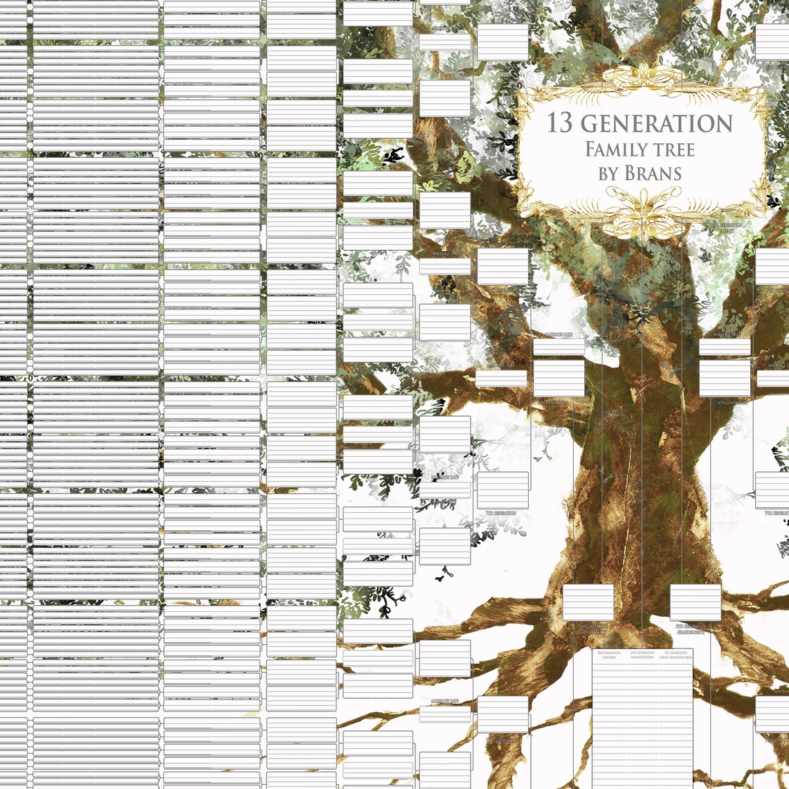 50x54 Large 13 Generations Family Tree Printable Digital - Etsy Canada