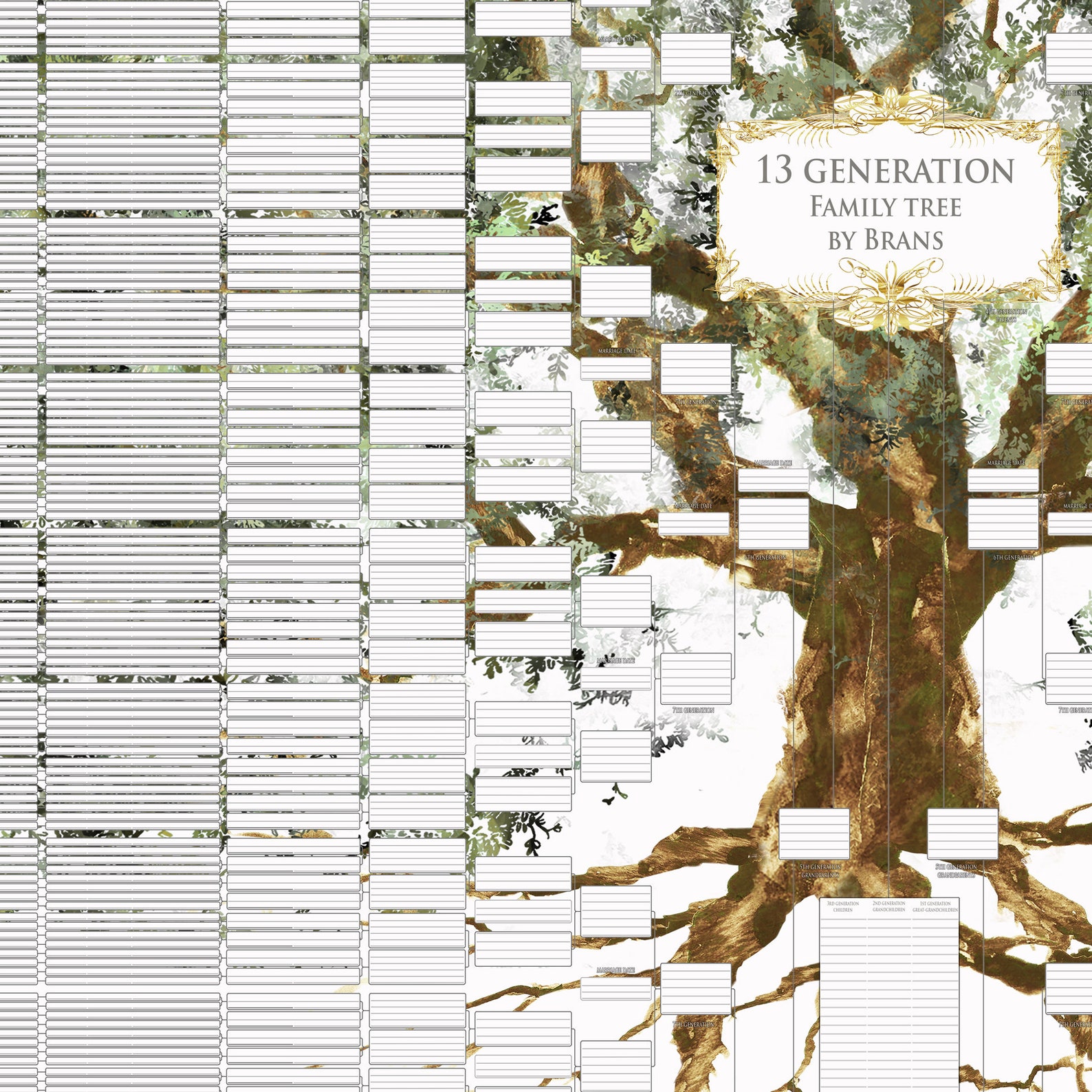 50x54 Large 13 Generations Family Tree Printable Digital - Etsy Canada