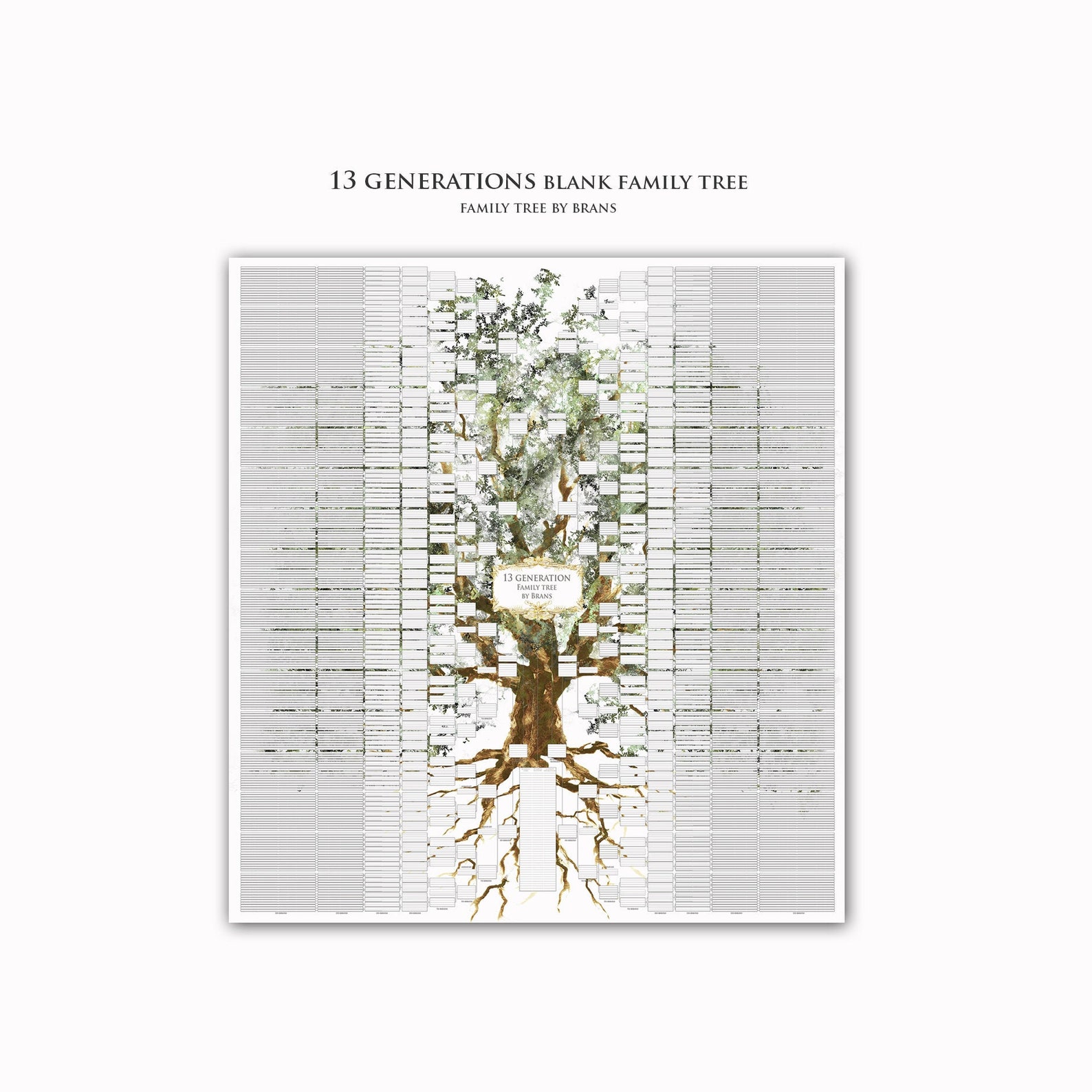 50x54 Large 13 Generations Family Tree Printable Digital - Etsy Canada