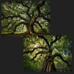 Large Tree 24 Pieces Realistic Digital Bundle Old Green Tree With ...