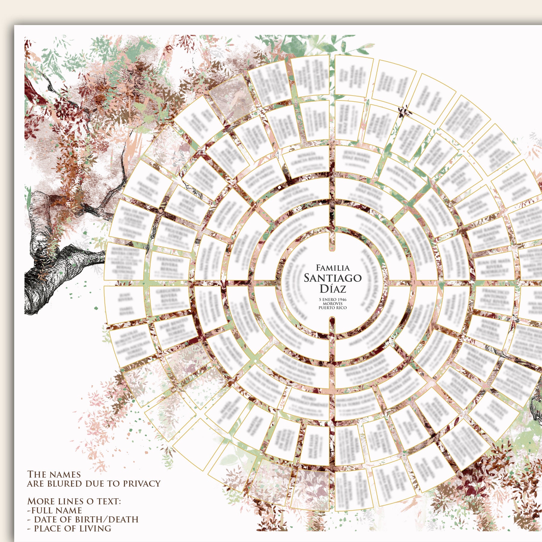 6 Generation Family Tree. Round Family Tree Template. | Etsy
