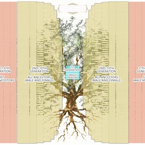 15 Generation Family Tree. Large Family Tree for 15 Ancestor ...