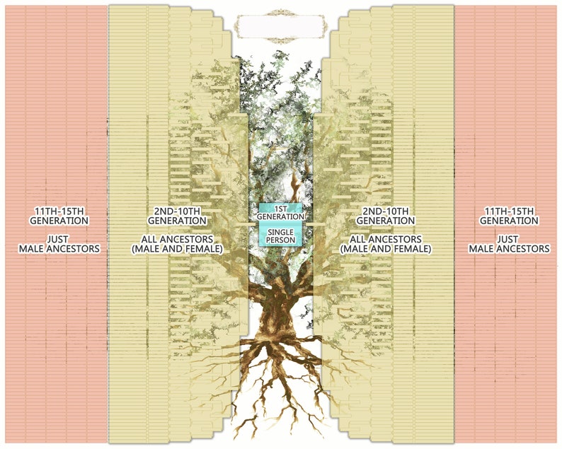 15 Generation Family Tree. Large Family Tree for 15 Ancestor - Etsy