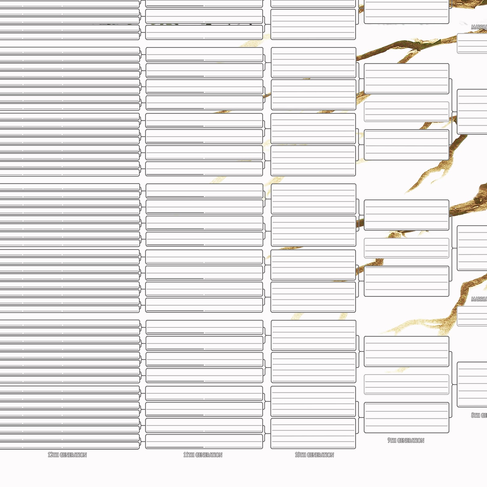 50x54 Large 13 Generations Family Tree Printable Digital - Etsy Canada