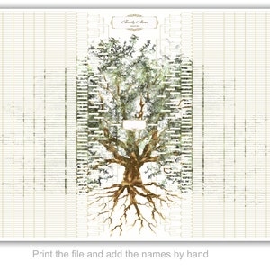 15 Generation Family Tree. Large Family Tree for 15 Ancestor ...