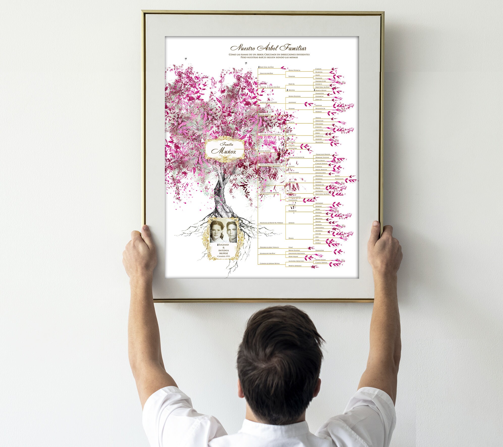 Top Quality Family Tree. A Professional Family Tree That Will - Etsy