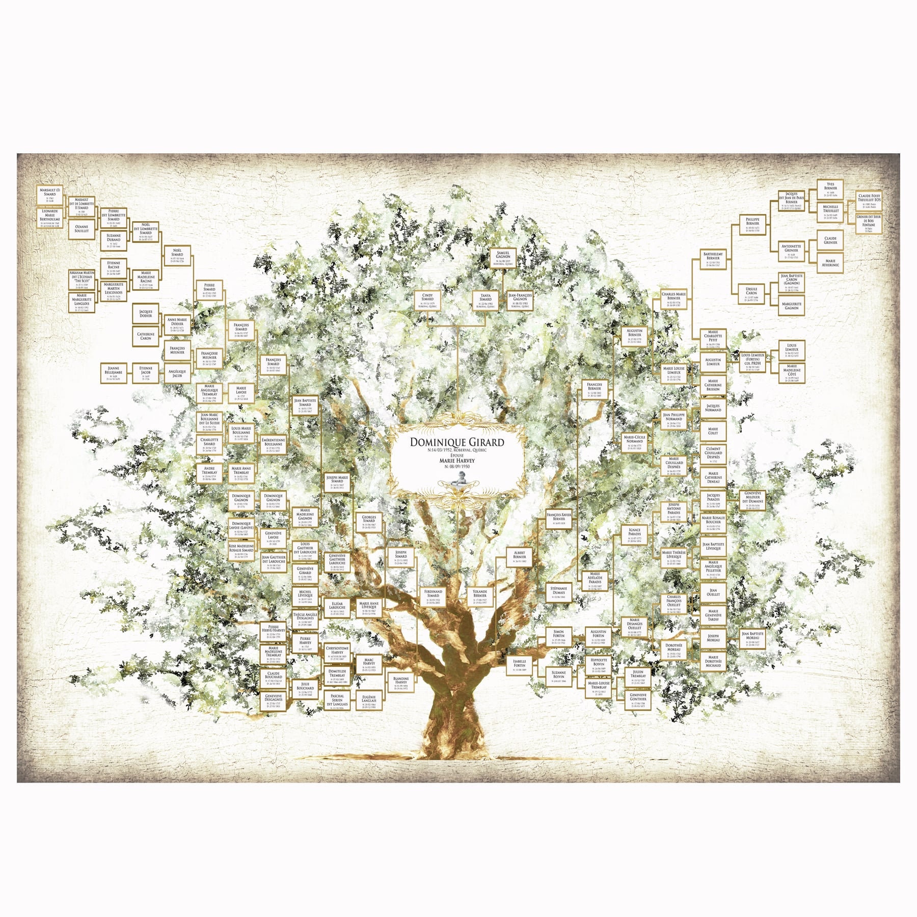 Ancestry Family Tree With Incomplete Information. Custom - Etsy