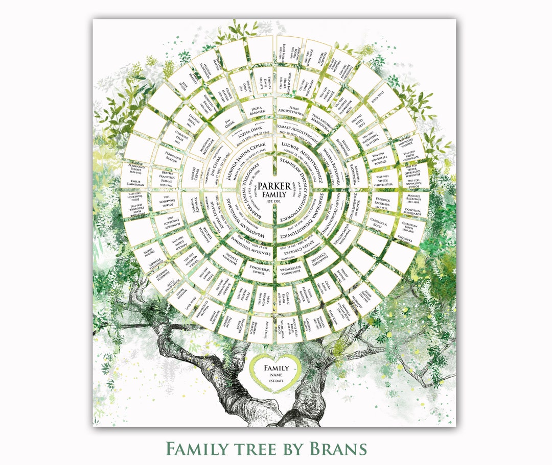 Personalized Ancestry Family Tree Gift 5, 6 or 7 Generations 16x18 ...