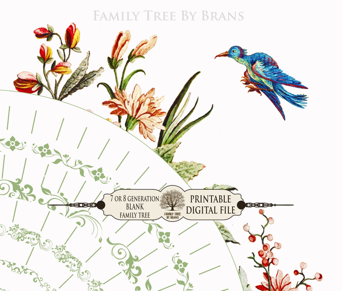 Family Tree Chart 7 or 8 Generations Spring Flower Birthday | Etsy