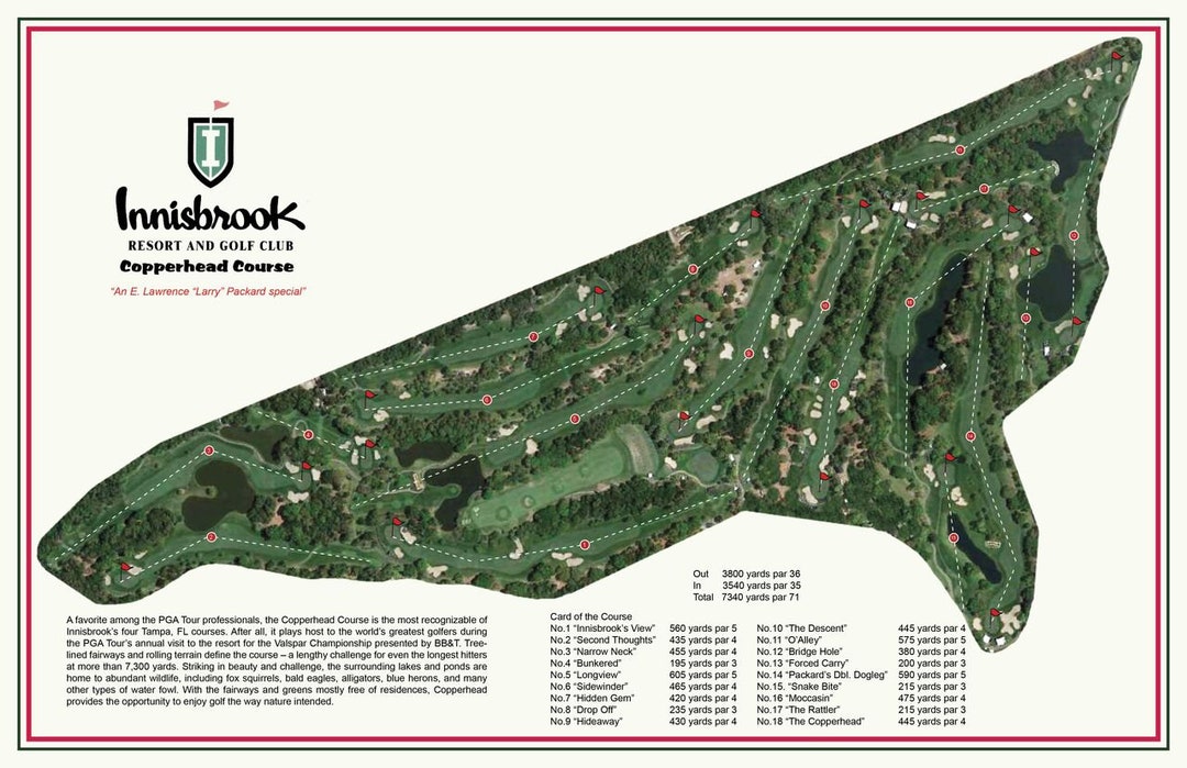 Innisbrook/ Copperhead Golf Course 24 X 20" - Etsy