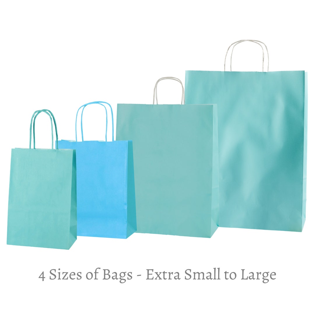 Light Blue Paper Bags With Twisted Handles 4 Sizes Paper Shop Bags ...