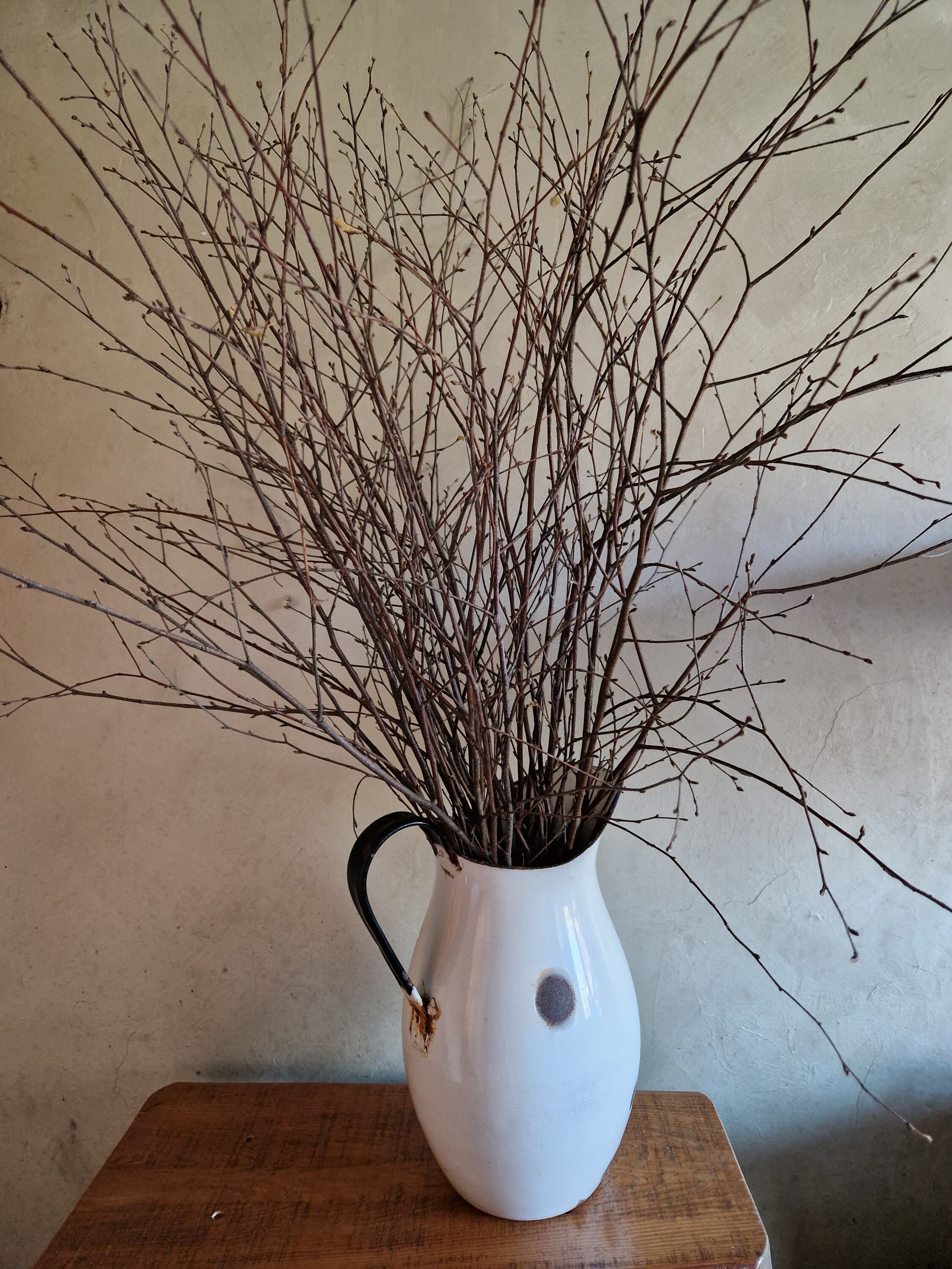22"tall Natural Birch Branches Birch Twigs Bunch Birch Bundle Birch ...