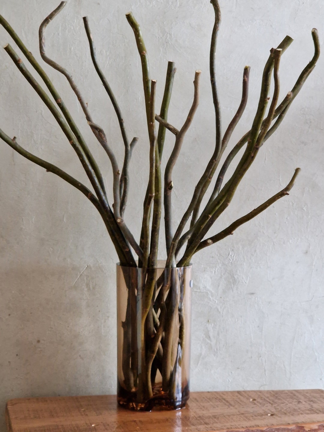 Set of 16 Willow Curly Branches Twisted Willow Branches Sticks Willow ...