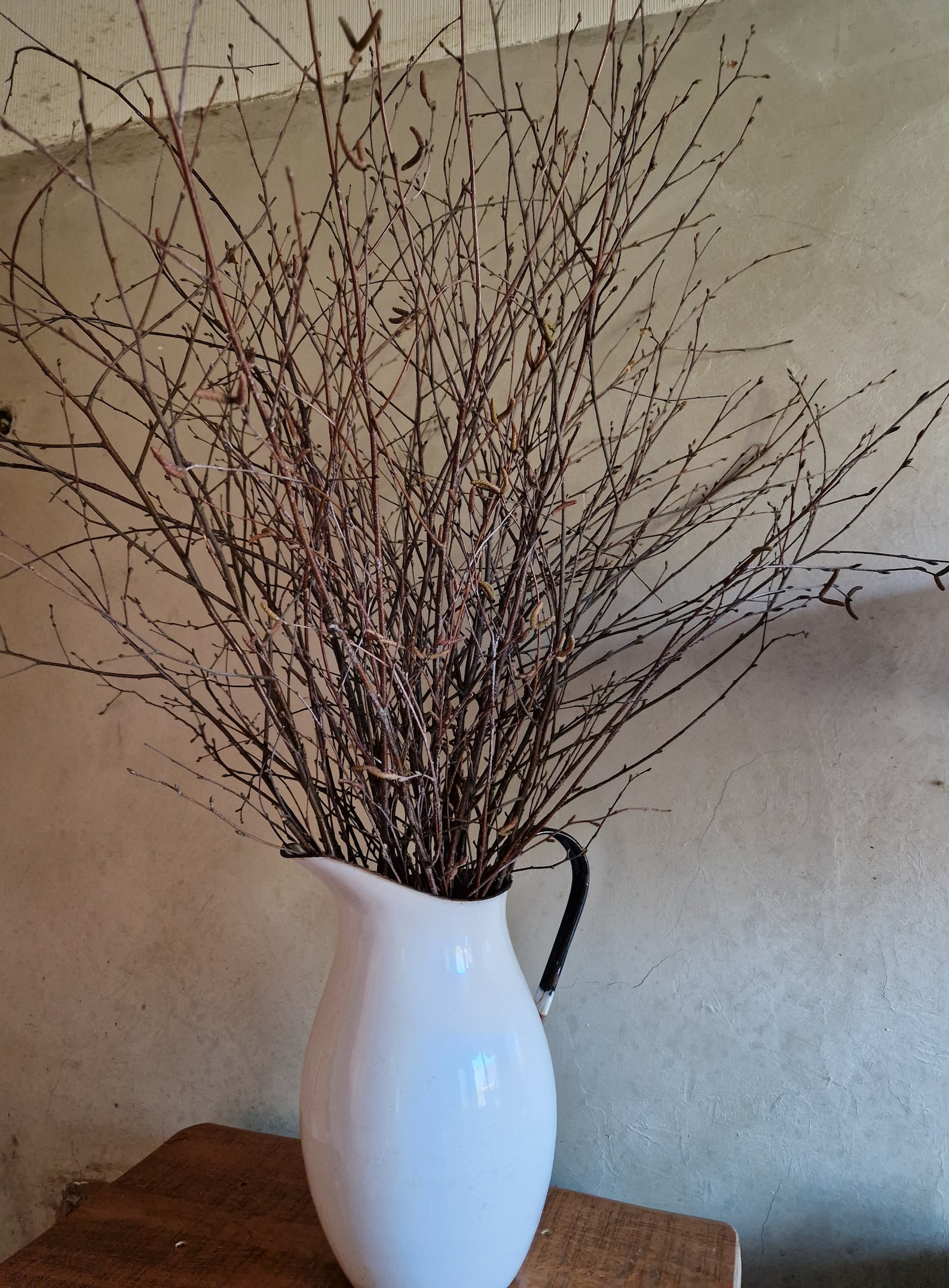 22"tall Natural Birch Branches Birch Twigs Bunch Birch Bundle Birch ...