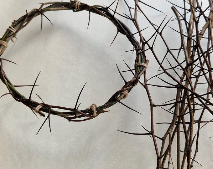 Set of 12 Sharp Branches for Craft Branches With Thorns Dried Thorny ...