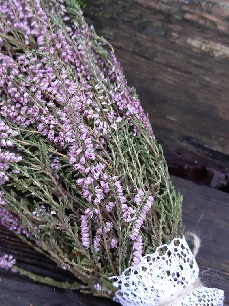 Heather Bouquet Dried Flower Bunch Dried Heather Flower Calluna ...