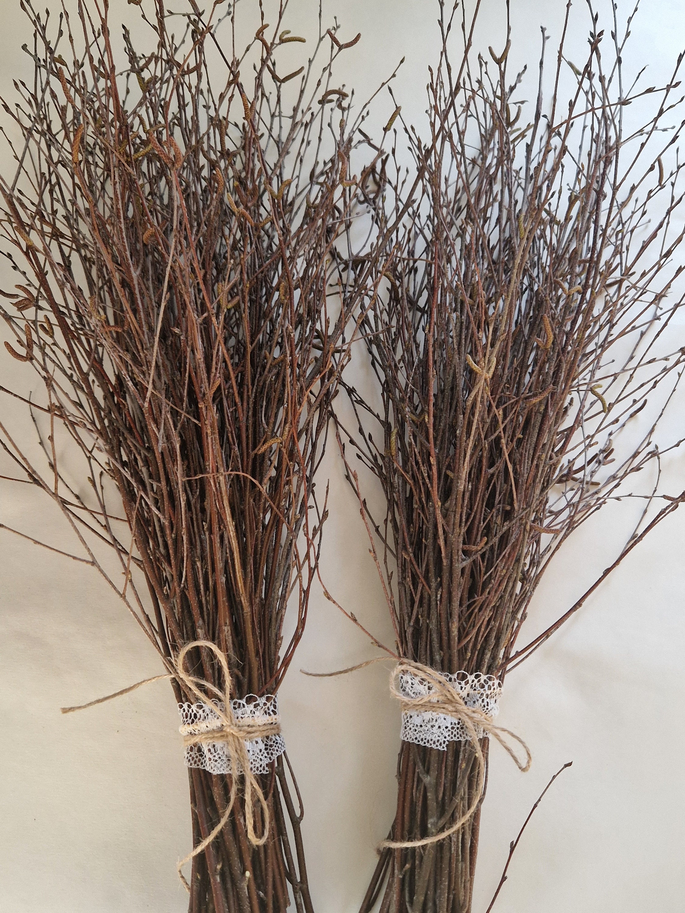 22tall Natural Birch Branches Birch Twigs Bunch Birch Bundle Birch ...