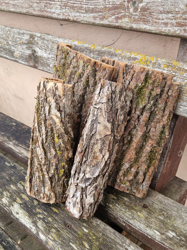 Set of 2 Real Natural Wooden Bark Forest Decor Tree Bark Sheets for Art ...