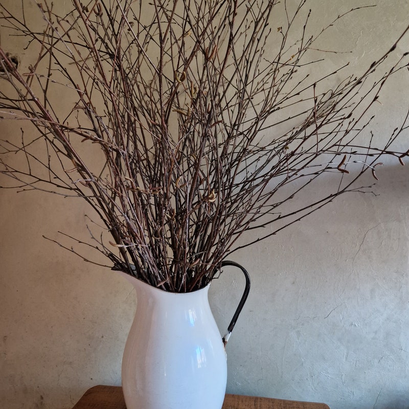 Birch Tree Decor - Etsy