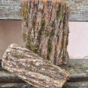 Set of 2 Real Natural Wooden Bark Forest Decor Tree Bark Sheets for Art ...