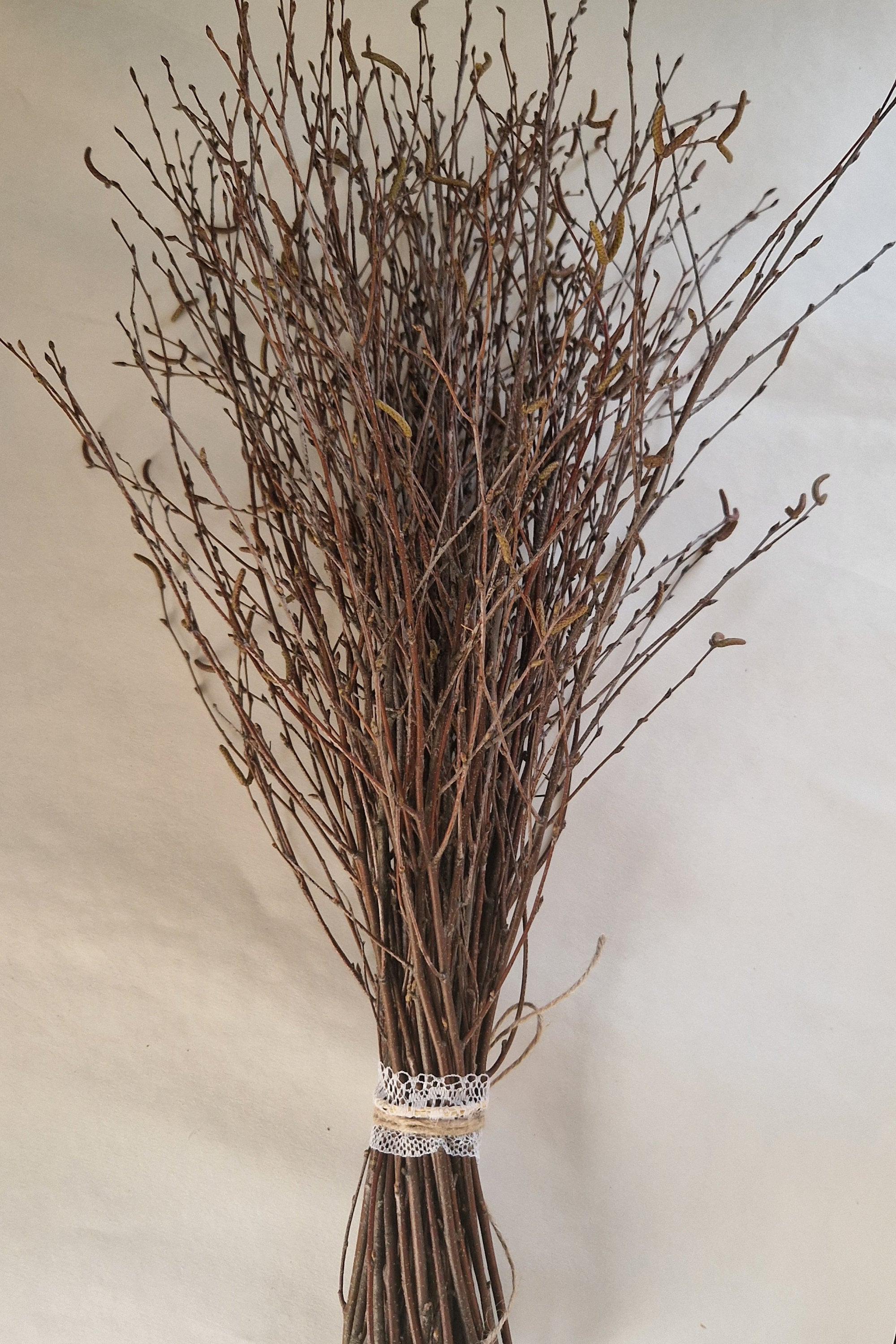 22"tall Natural Birch Branches Birch Twigs Bunch Birch Bundle Birch ...