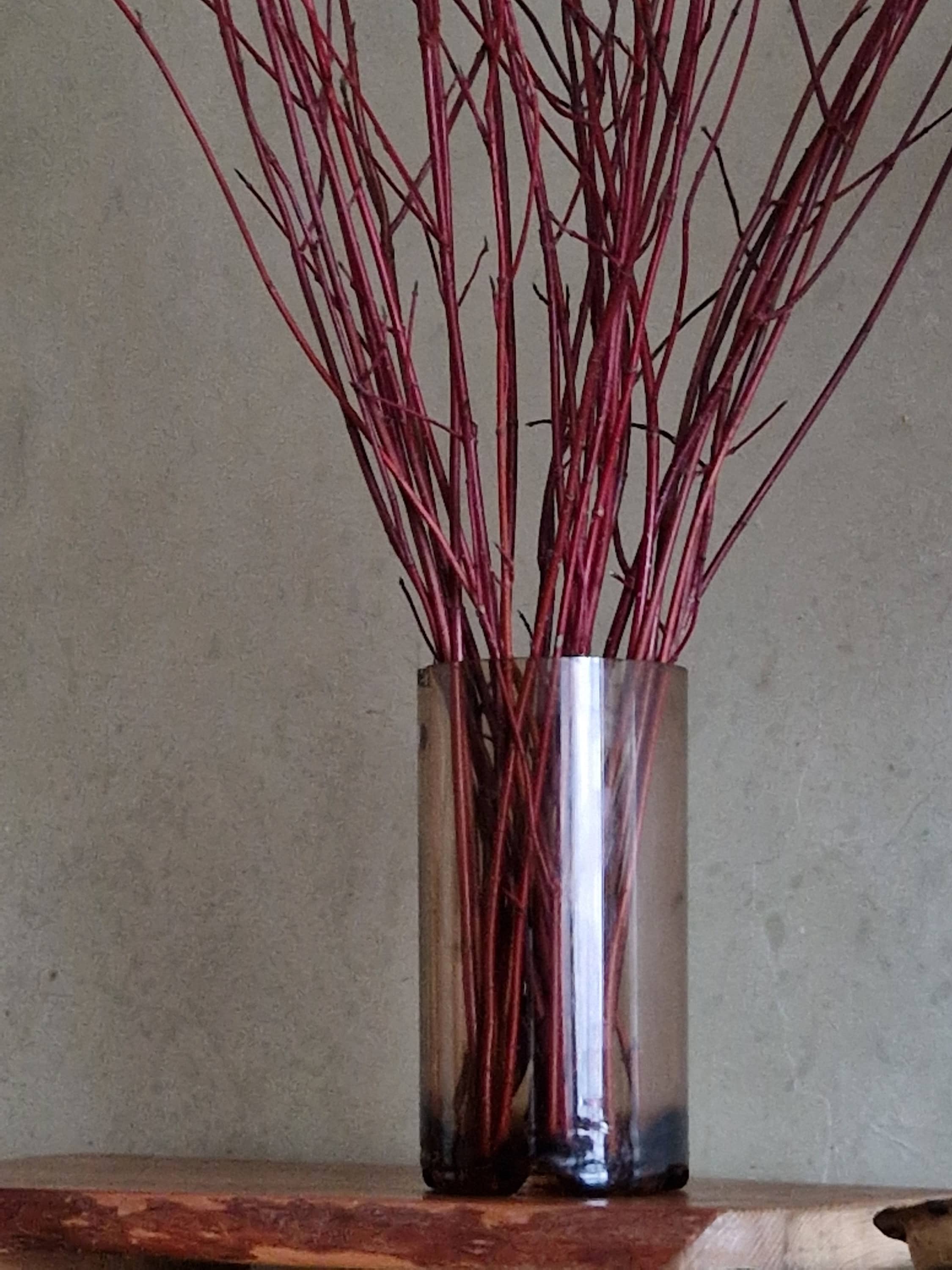 Real Red Dogwood Branches Red Willows Twigs Branches Centerpiece Home ...