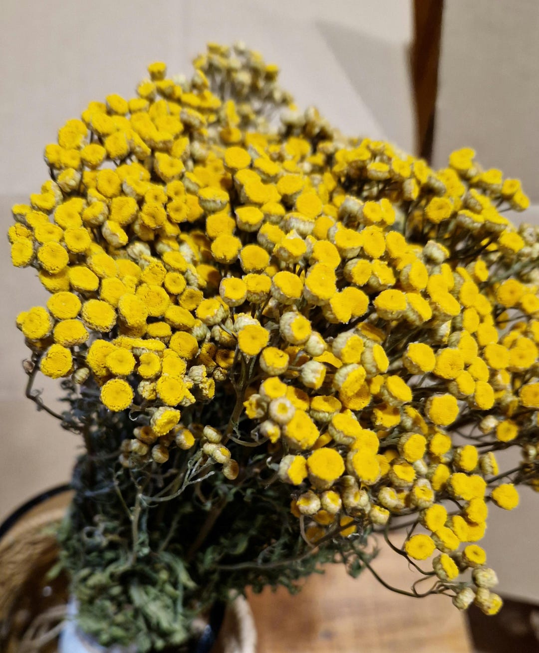 Dried Yellow Flowers Bouquet Alternative Medicine Herbal Tea Cleanser ...