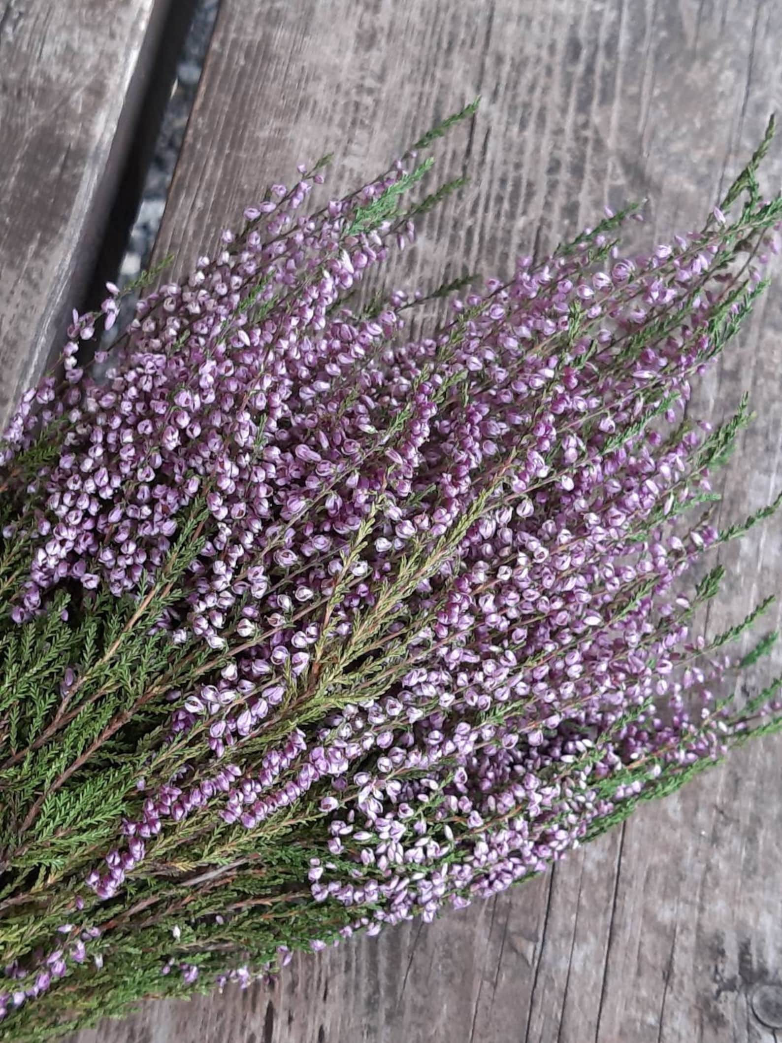 Heather Bouquet Dried Flower Bunch Dried Heather Flower Calluna ...