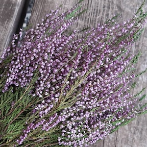 Heather Bouquet Dried Flower Bunch Dried Heather Flower Calluna ...
