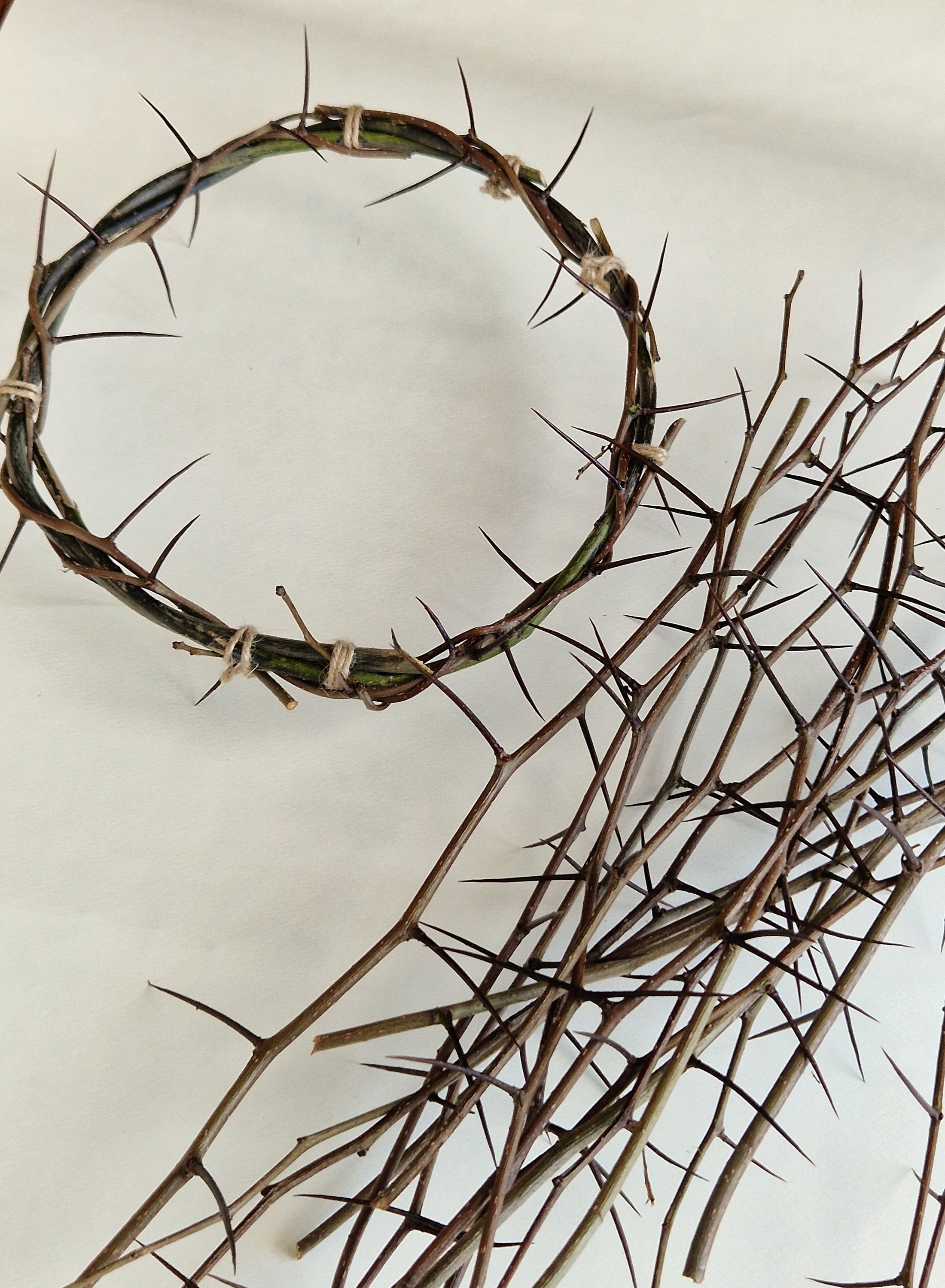 Sharp Crown of Thorns Wreath Hawthorn Natural Thorn Wreath for Easter ...