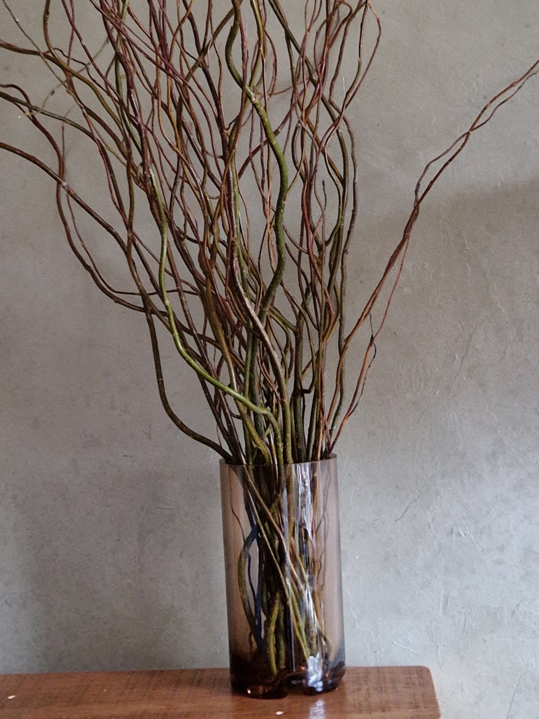 Natural Willow Curly Branches Willow Curly Twigs Scandinavian Home ...