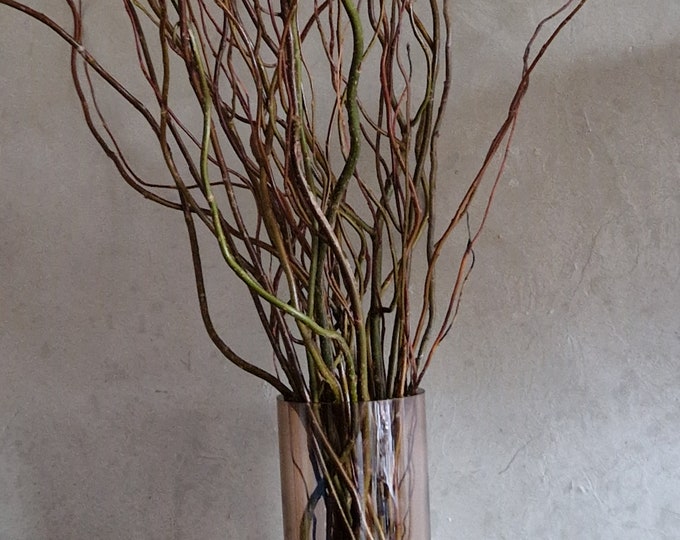 Natural Willow Curly Branches Willow Curly Twigs Scandinavian Home ...