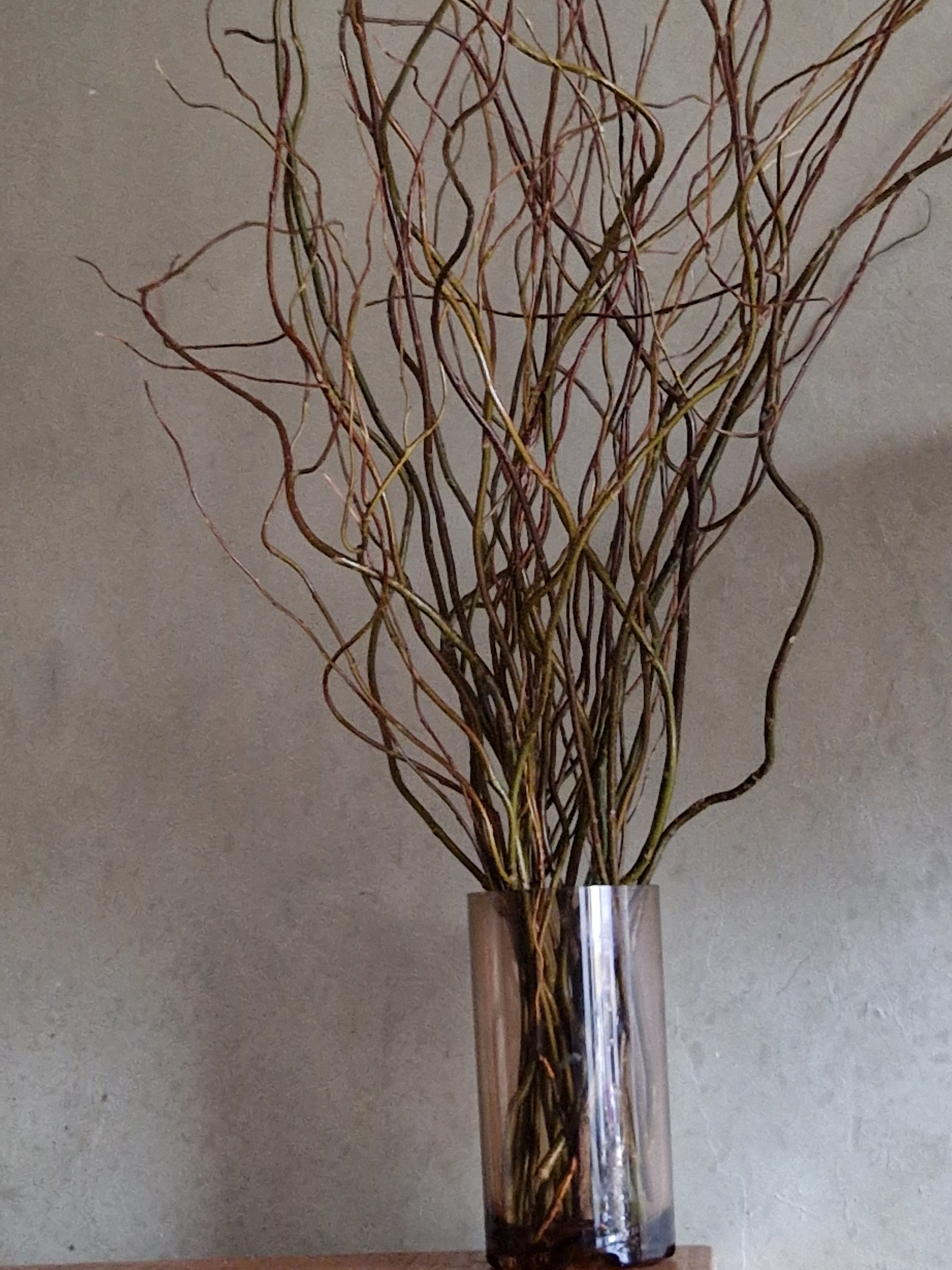 Natural Willow Curly Branches Willow Curly Twigs Scandinavian - Etsy UK
