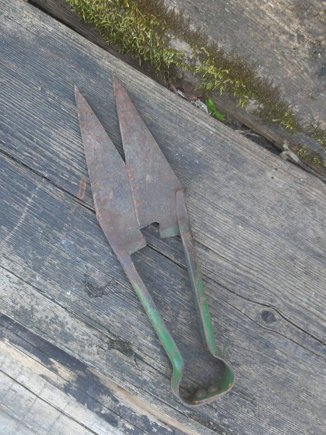 Vintage Rusty Scissors Iron Scissors Cutting Sheep's Wool Antique ...