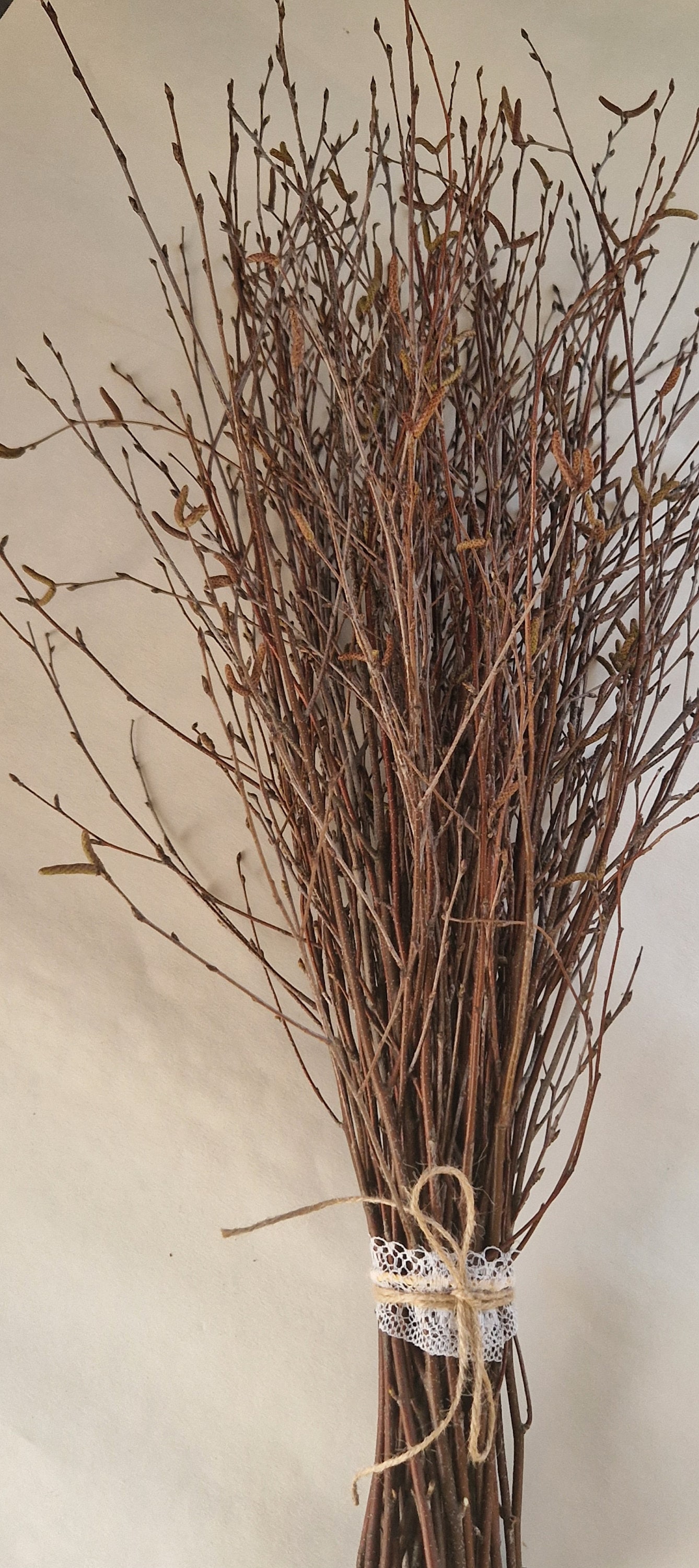 22tall Natural Birch Branches Birch Twigs Bunch Birch Bundle Birch ...