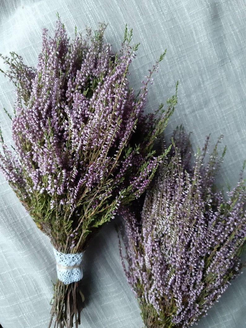 Heather Bouquet Dried Flower Bunch Dried Heather Flower Calluna ...