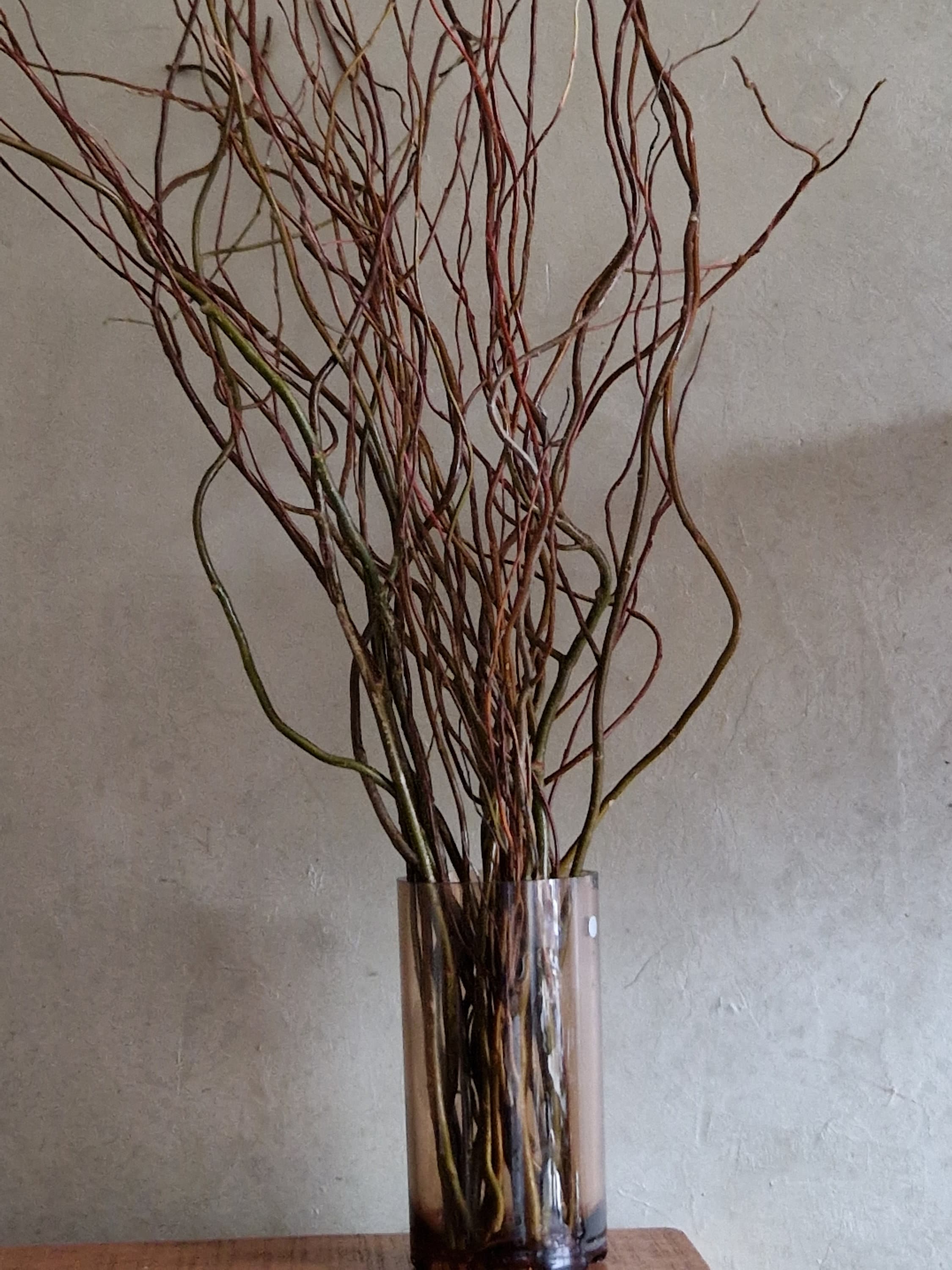 Natural Willow Curly Branches Willow Curly Twigs Scandinavian - Etsy UK