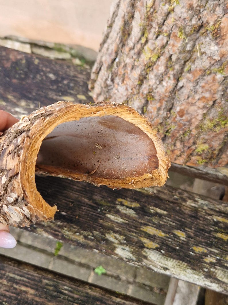 Set of 2 Real Natural Wooden Bark Forest Decor Tree Bark Sheets for Art ...