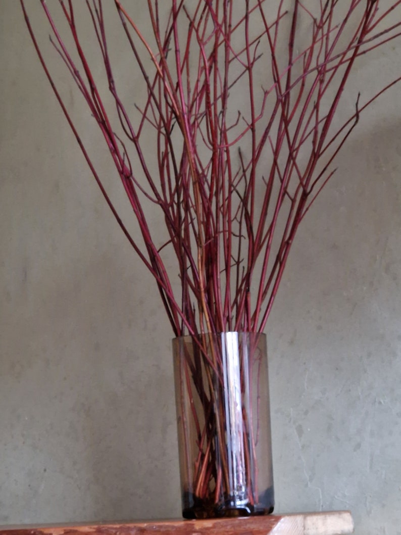 Real Red Dogwood Branches Red Willows Twigs Branches Centerpiece Home ...