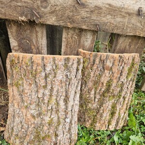Set of 2 Real Natural Wooden Bark Forest Decor Tree Bark Sheets for Art ...