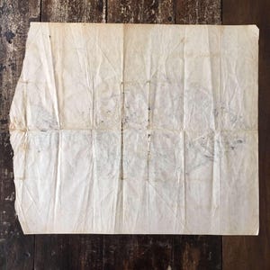 Original 1950s Gyotaku Traditional Japanese Method of Printing Fish - Etsy