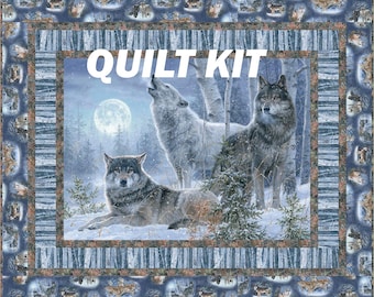 Quilt Kit - Jewel Vivid Quilt Kit by in the Beginning-fabric for Top ...